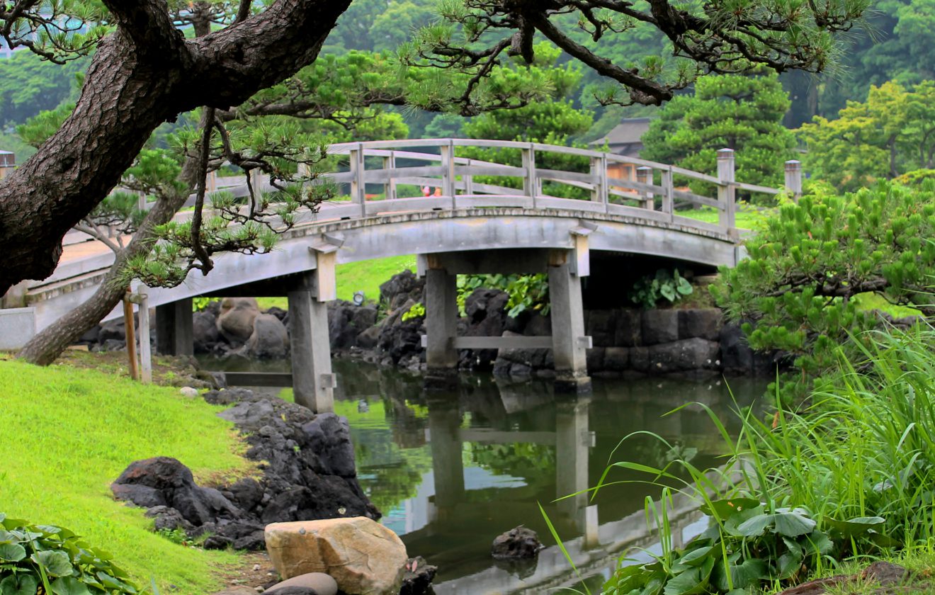 Best Parks and Gardens in Tokyo, Japan | Footsteps of a Dreamer
