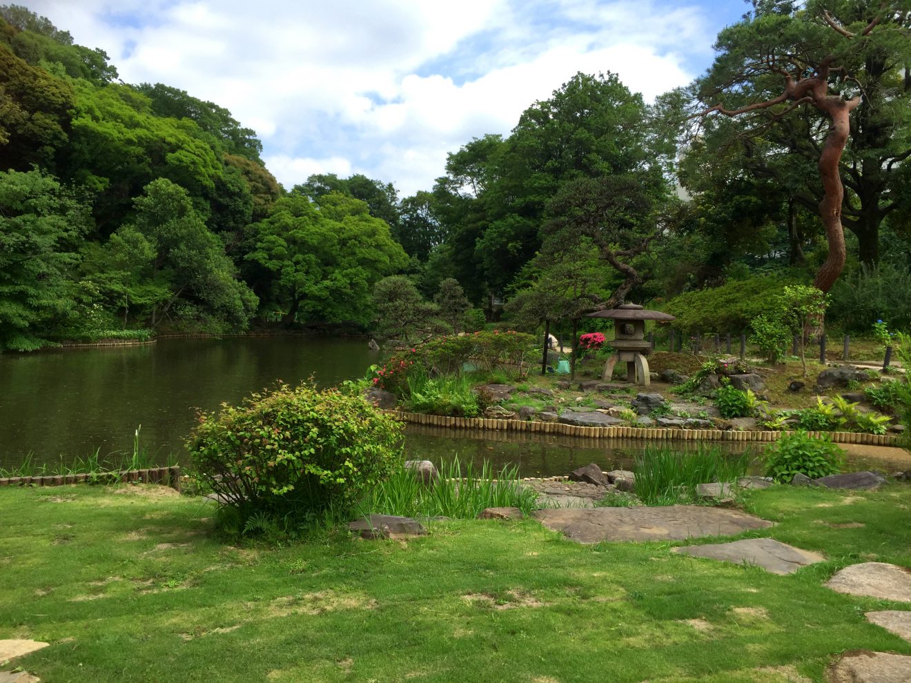 Best Parks and Gardens in Tokyo, Japan | Footsteps of a Dreamer