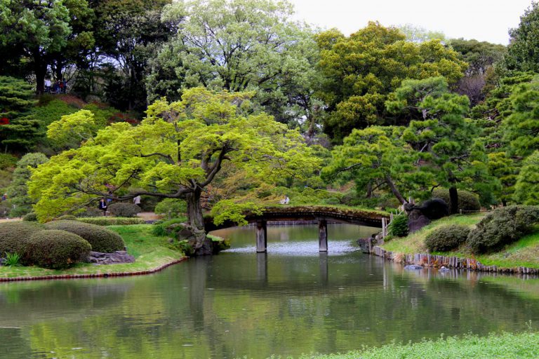 Best Parks and Gardens in Tokyo, Japan | Footsteps of a Dreamer