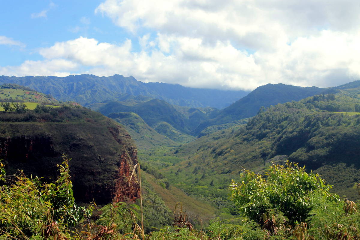 Visiting the Waimea Canyon Lookout in Kauai, Hawaii | Footsteps of a ...