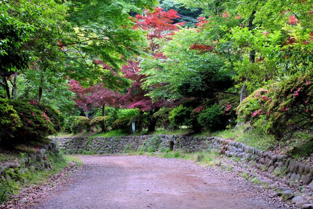 Kamakura Day Trip: Itinerary + Travel Tips | Footsteps of a Dreamer